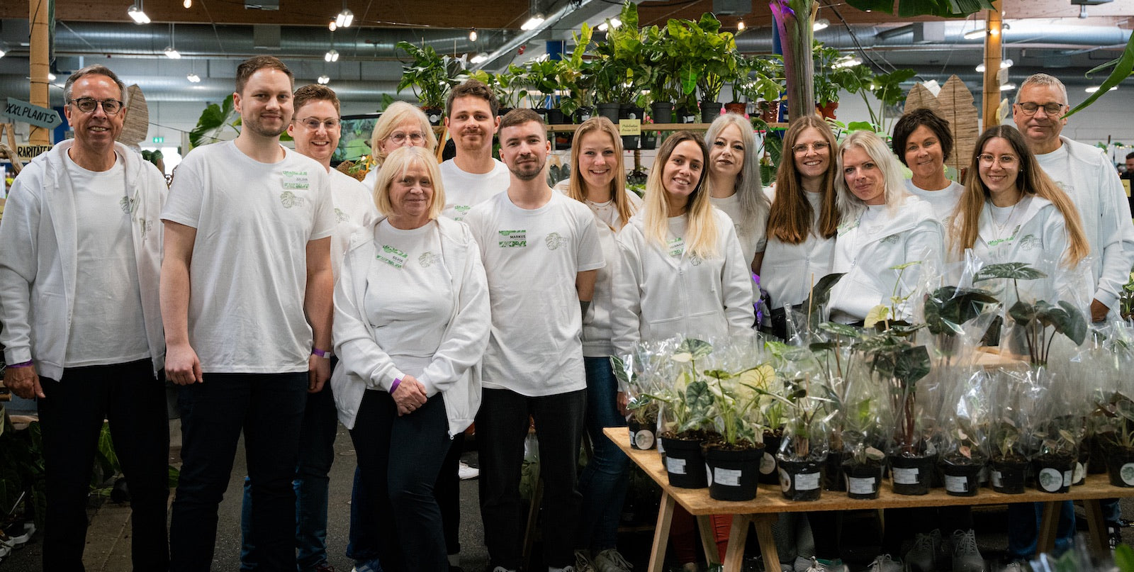 Harmony Plants - buy tropical houseplants online